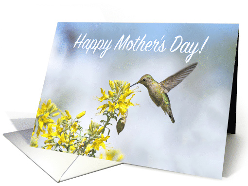 Hummingbird Happy Mother S Day Card 1507778